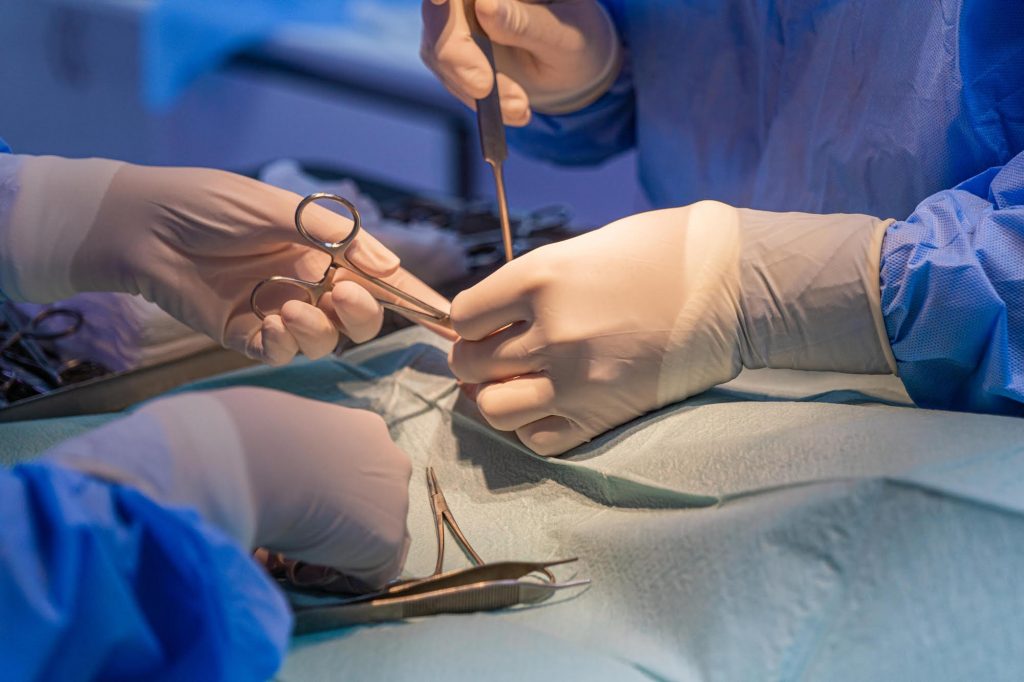 Pet Surgery | Pet Surgical Services Fountain Hills