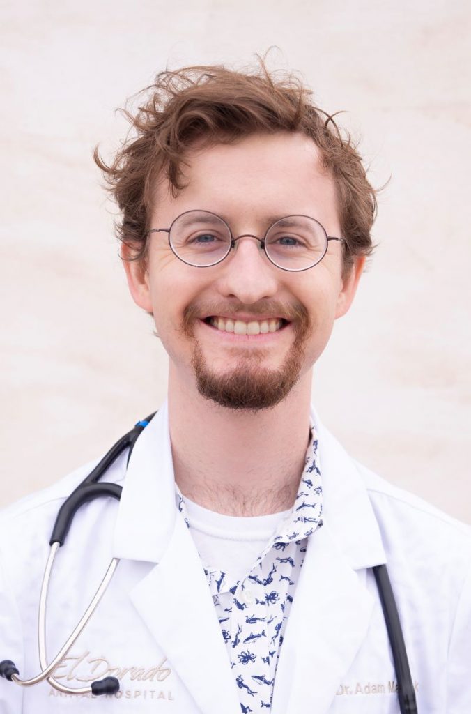 El Dorado Animal Hospital | Veterinarian Fountain Hills AZ | Affordable ...