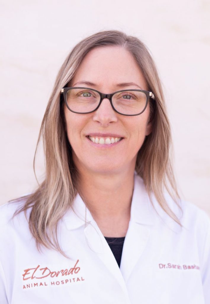 El Dorado Animal Hospital | Veterinarian Fountain Hills AZ | Affordable ...